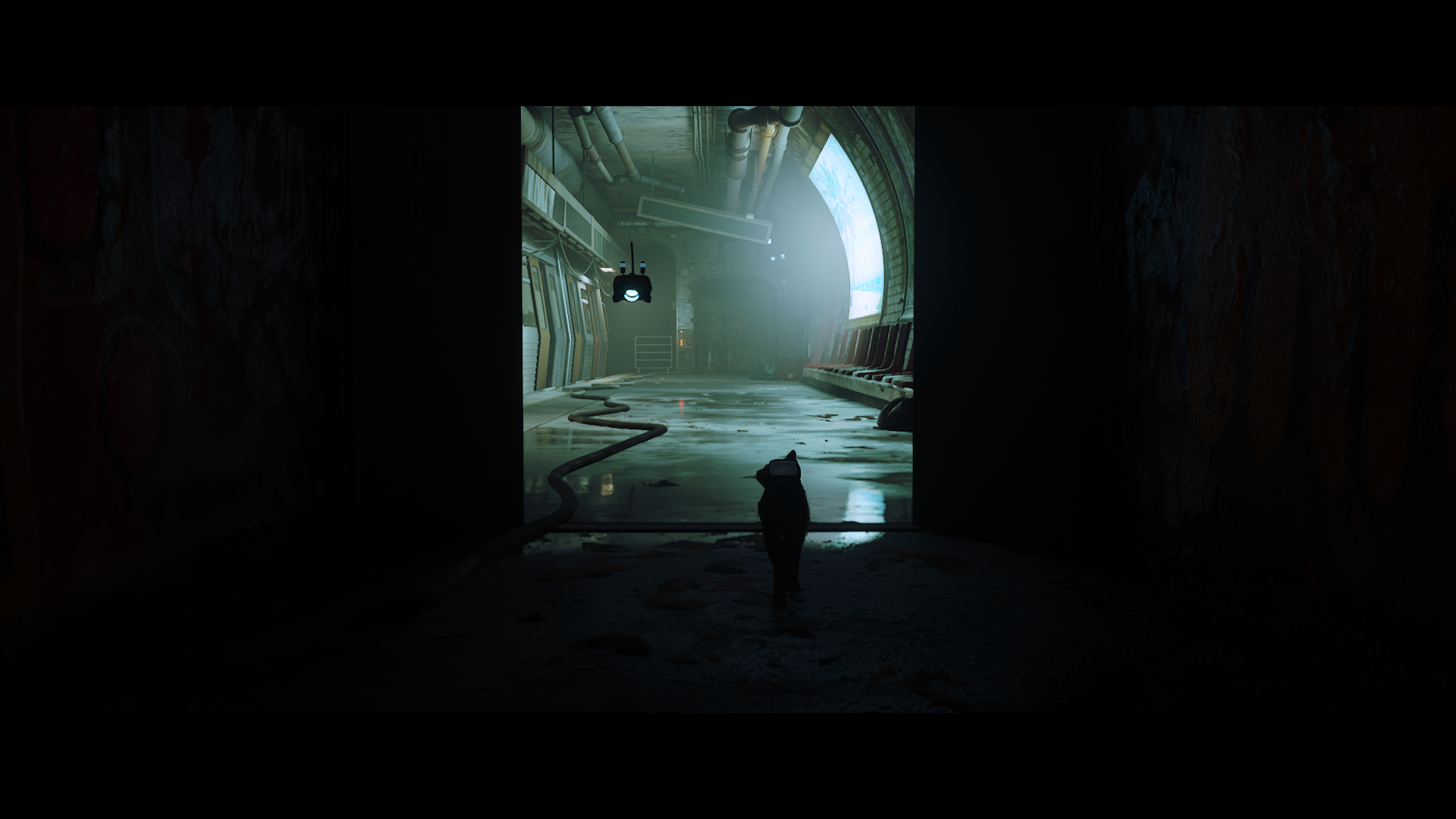 Experience the World Through a Cat's Eyes: Stray Game Review - Game On ...